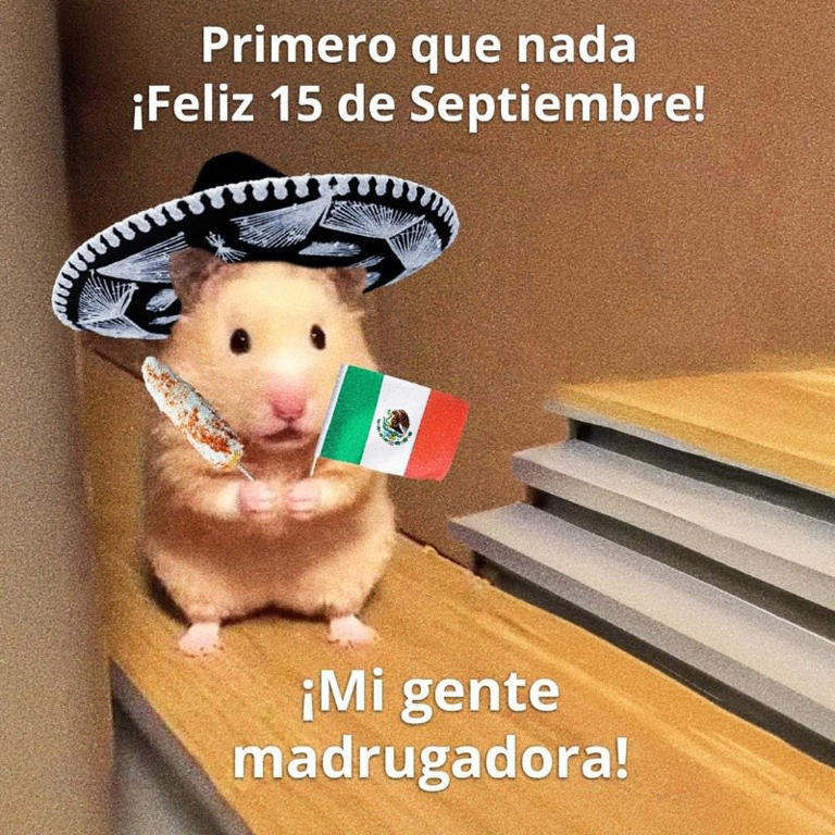 Los Mejores Memes Para El 16 De Septiembre Galería